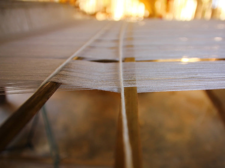 ¿Qué es el lino? Características y usos – dE.LENZO